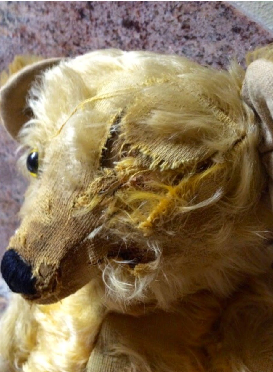 The Teddy Bear and Stuffy Doctor : Teddy Ireland Story